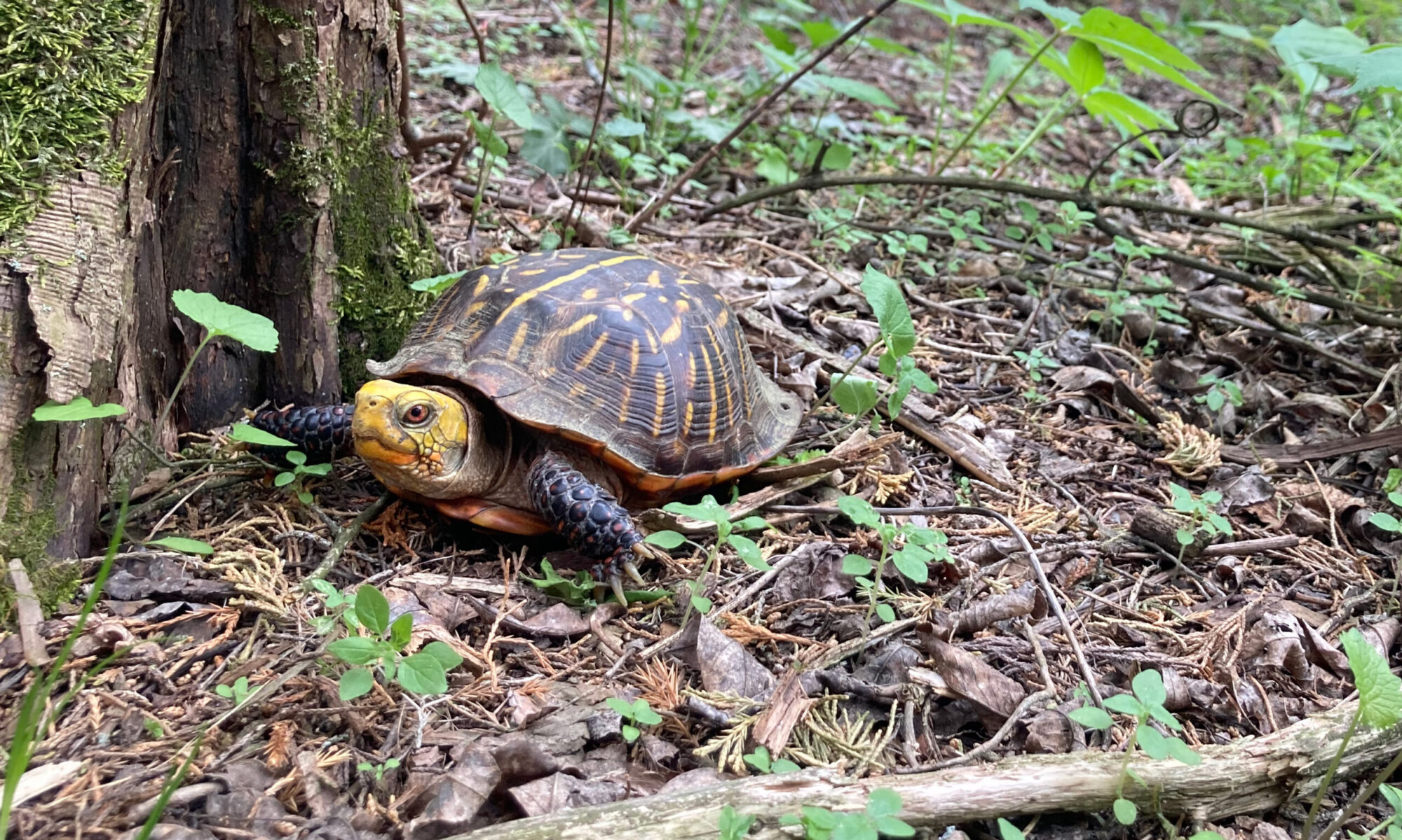 Publications – Joshua G. Otten, Ph.D.