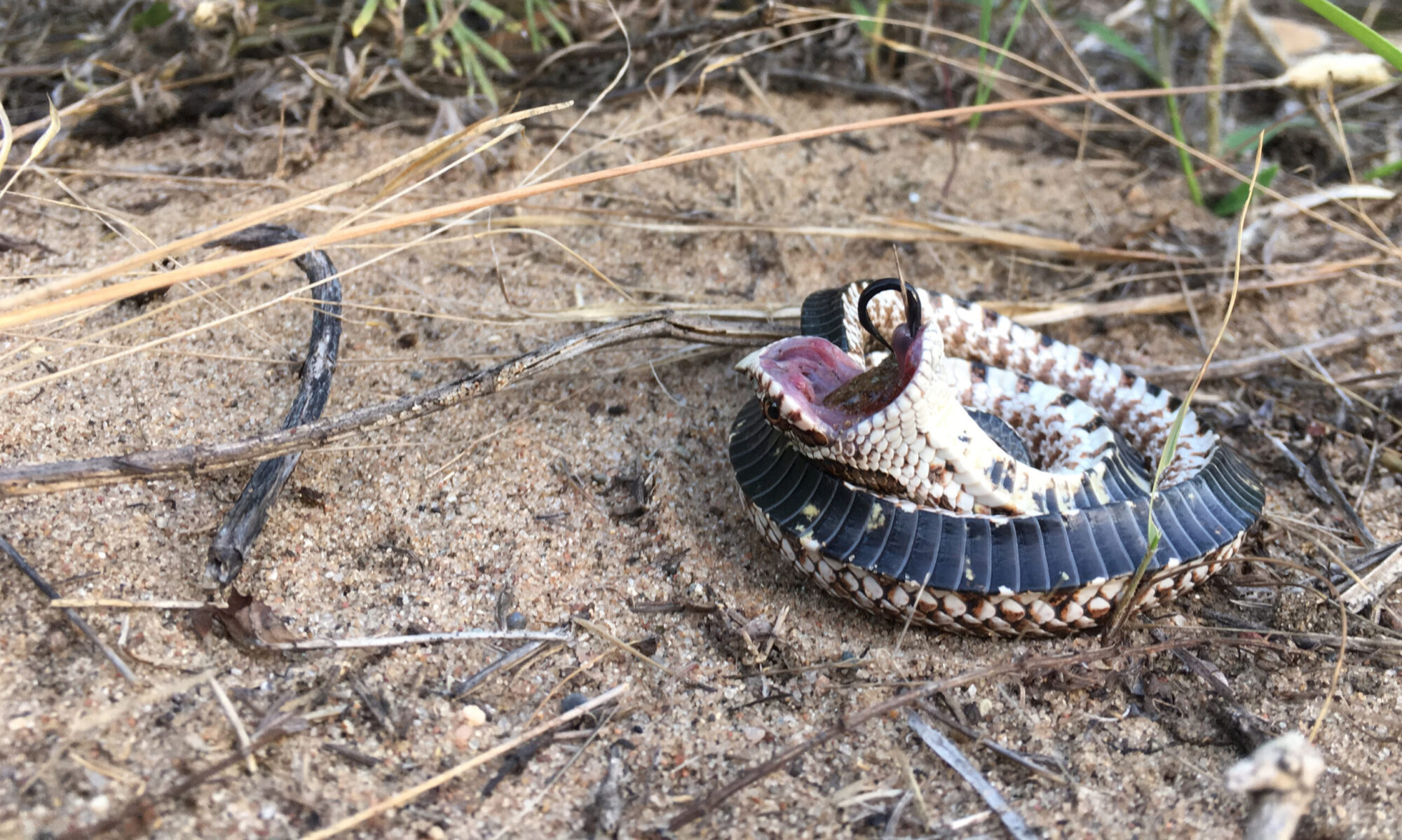 About - Joshua G. Otten, Ph.D.